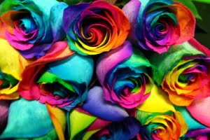 Learn How To Make Simple Colored And Rainbow Roses