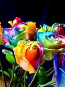 Learn How To Make Simple Colored And Rainbow Roses