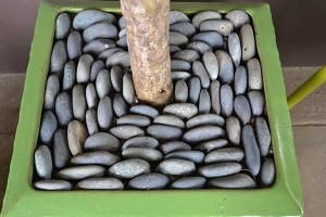 36 Examples On How To Use River Rocks In Your Decor Through DIY Projects
