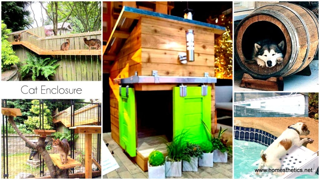 20 DIY Pet Craft Projects