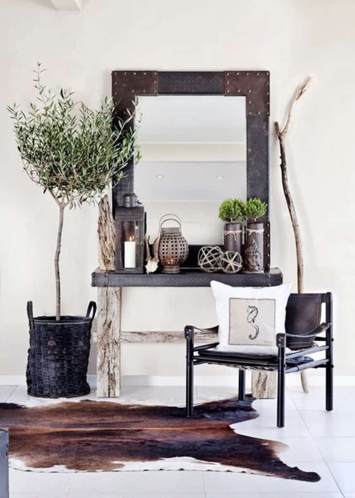 Guide To Growing Olive Trees Indoors