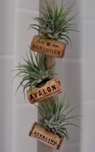 Ingenious Wine Cork Planters For Your Little Plants