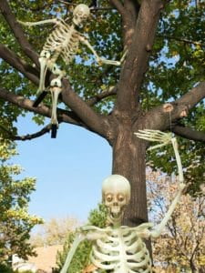 26 Enchanting And Spooky Ways To Decorate Trees For Halloween