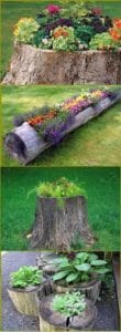 39 Spectacular Tree Logs Ideas For Cozy Households