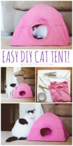 15 Super Fun DIY Cat Tent Ideas To Pursue
