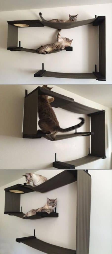47 Brilliant Easy Homemade DIY Cat Toys For Your Cats