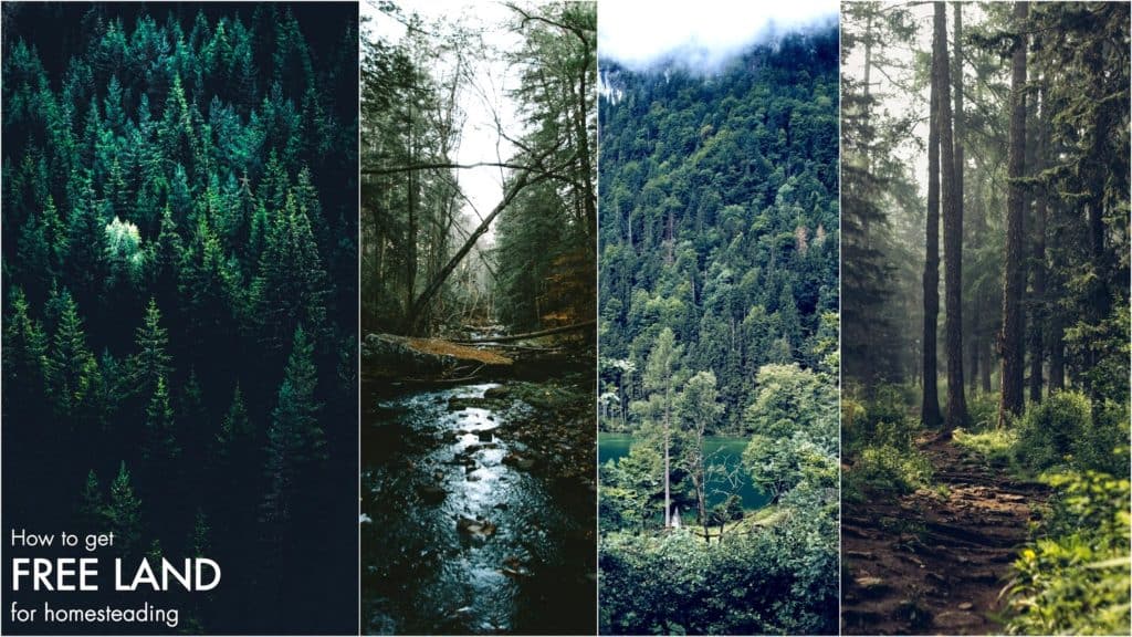 17 US Places Where You Can Find Free Land For Homesteading Today