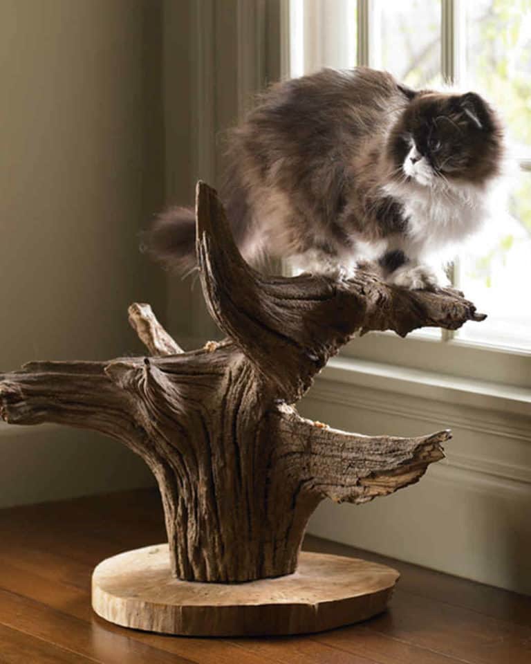 19 Adorable Free Cat Tree Plans For Your Furry Friend - Homesthetics