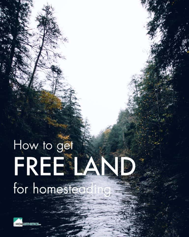 17 US Places Where You Can Find Free Land For Homesteading Today