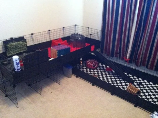 23 Epic Homemade DIY Guinea Pig Cage Designs To Build