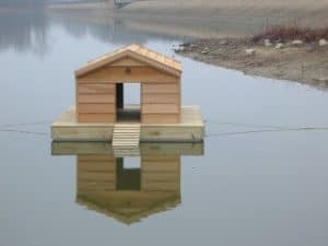 43 FREE DIY Duck Coop Plans & Duck House Plans