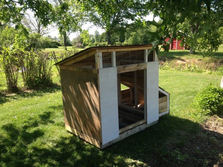 43 FREE DIY Duck Coop Plans & Duck House Plans