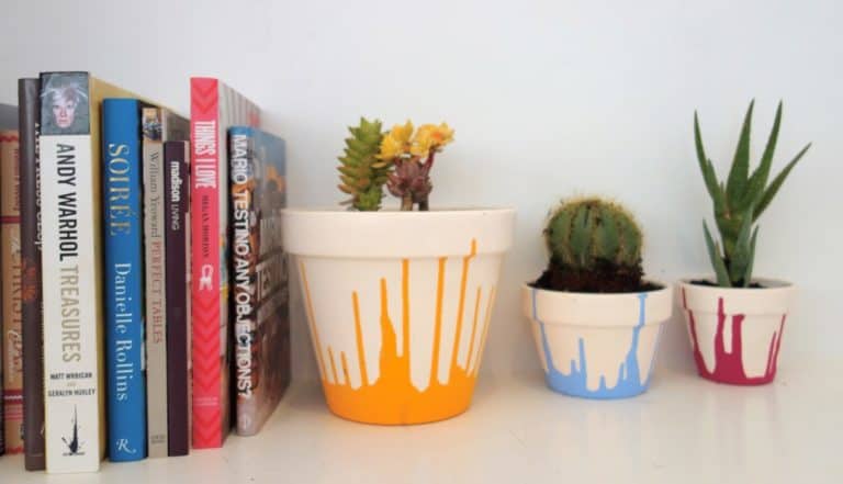 20 Ideas On How To Reinvent Your Terracotta Pots With Color