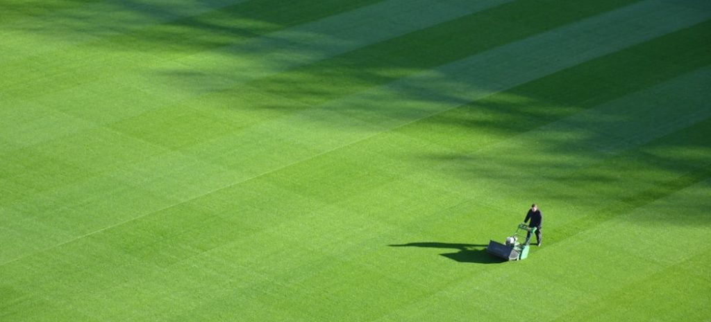 7 Best Shoes For Cutting Grass Comfortably | Buyer’s Guide