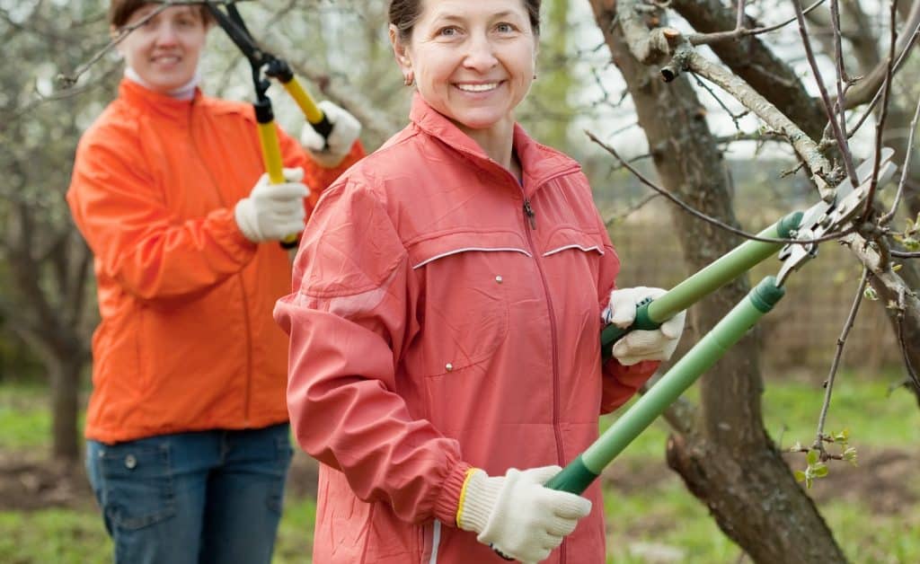 11 Best Loppers In 2023 Reviewed +Buyer's Guide