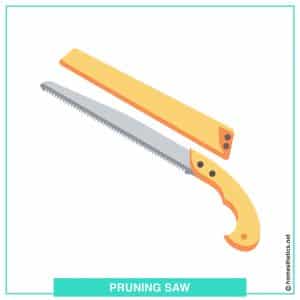 Different Types Of Saws & How To Use Them | 2023