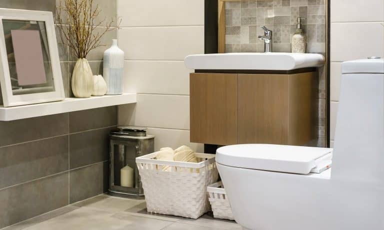 7 Best Bidet Toilet Combos Right Now [Reviews + Guide]
