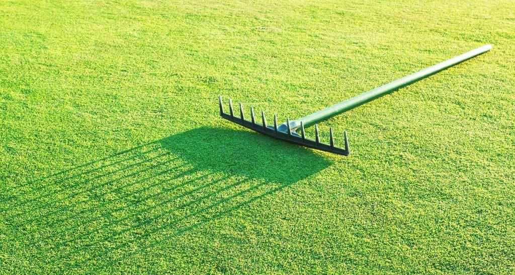 11 Best Pine Straw Rakes Of 2022