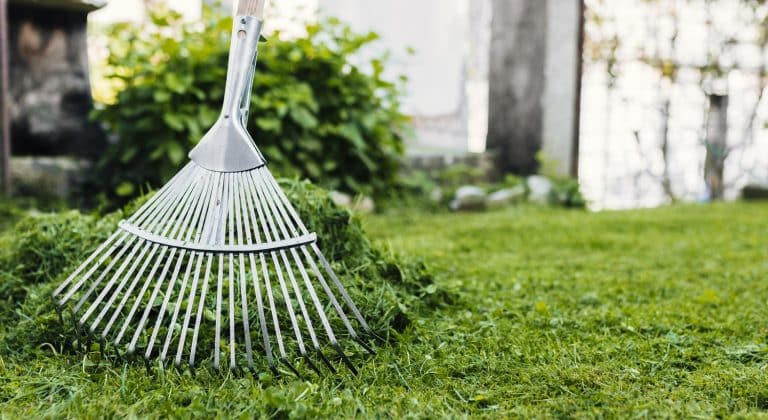 11 Best Pine Straw Rakes Of 2023