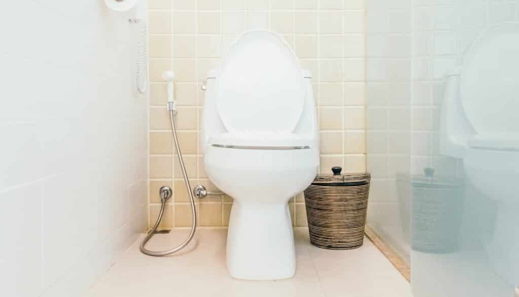 13 Best Septic Tank Treatments | Reviews + Guide