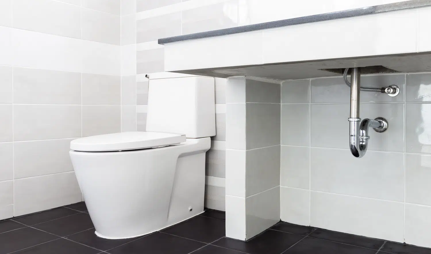 12 Toilet Brands For Your Future Home