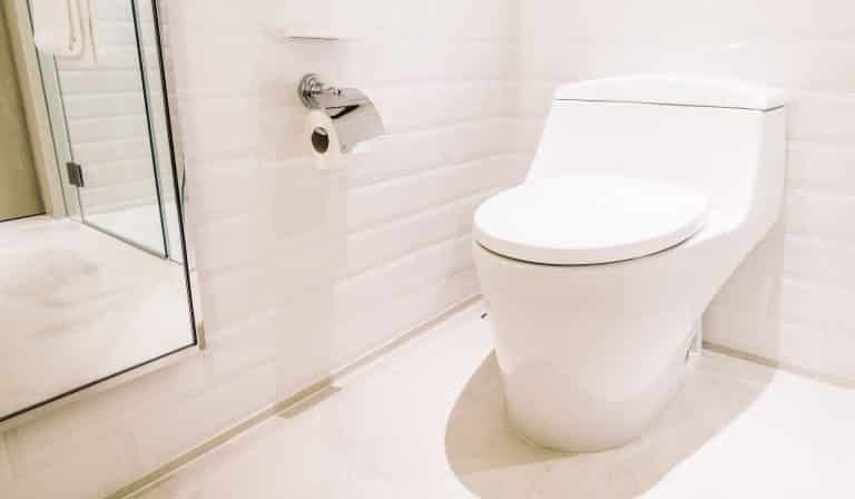 6 Best Toto Toilets | Reviews + Guide