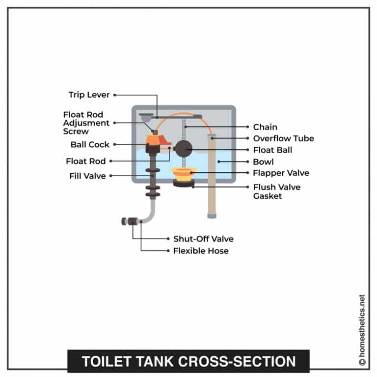 All The Parts Of A Toilet Explained