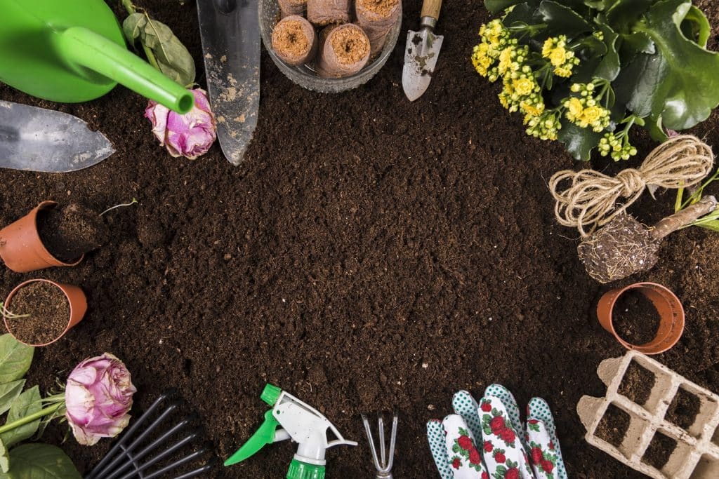 11 Best Fertilizer For Lilacs Of 2023 | Reviews + Guide