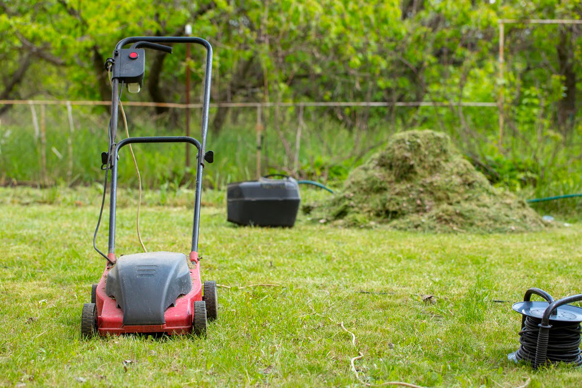 Best Lawn Mower For St Augustine Grass | Reviews + Guide