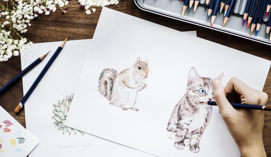 57 Best Colored Pencil Drawing Ideas | Reviews + Guide