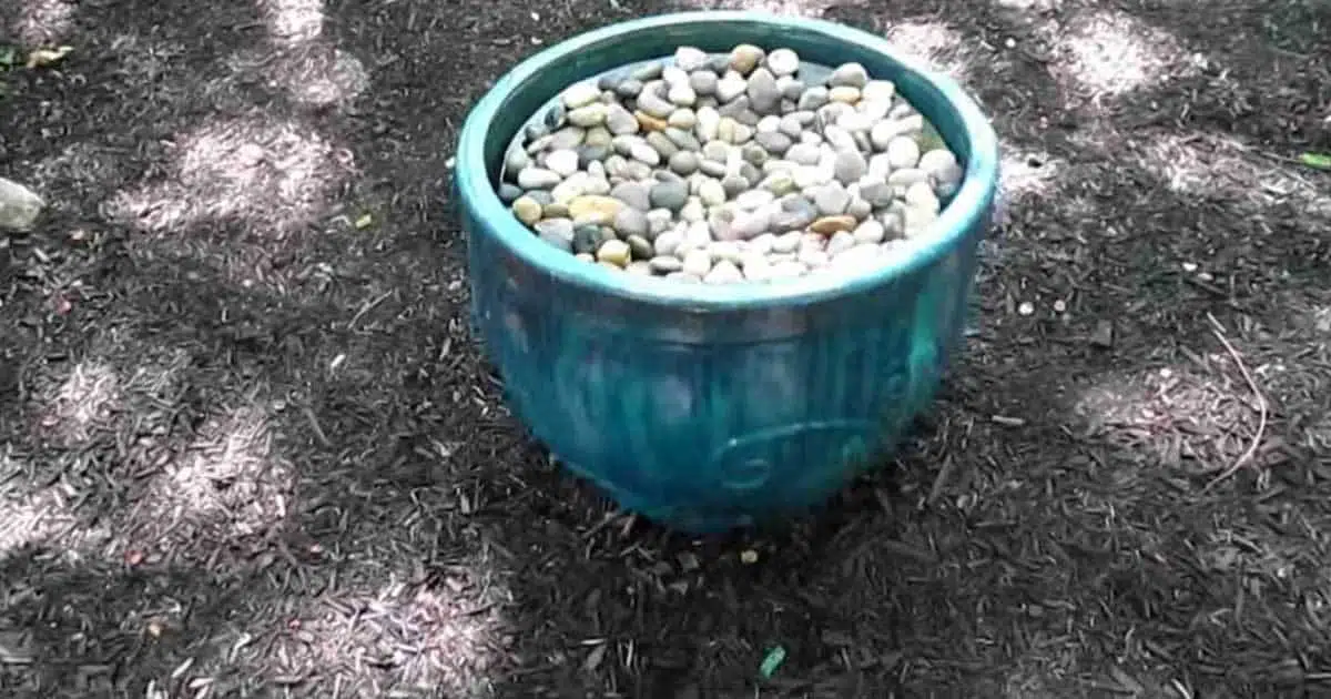 50 Best Water Feature Ideas For A Soothing Garden [Ideas]