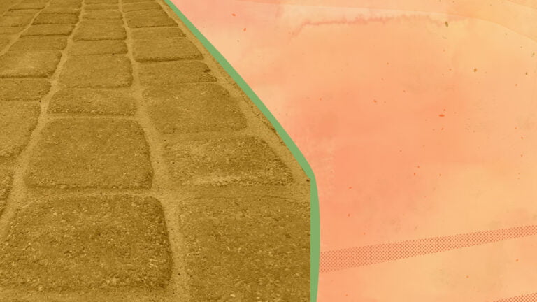 5 Best Polymeric Sands Of 2023 | Reviews + Guide