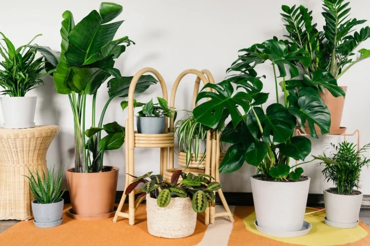 35 Best Online Gardening Stores Today