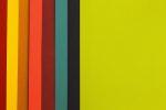 Analogous Color Schemes | All You Need To Know