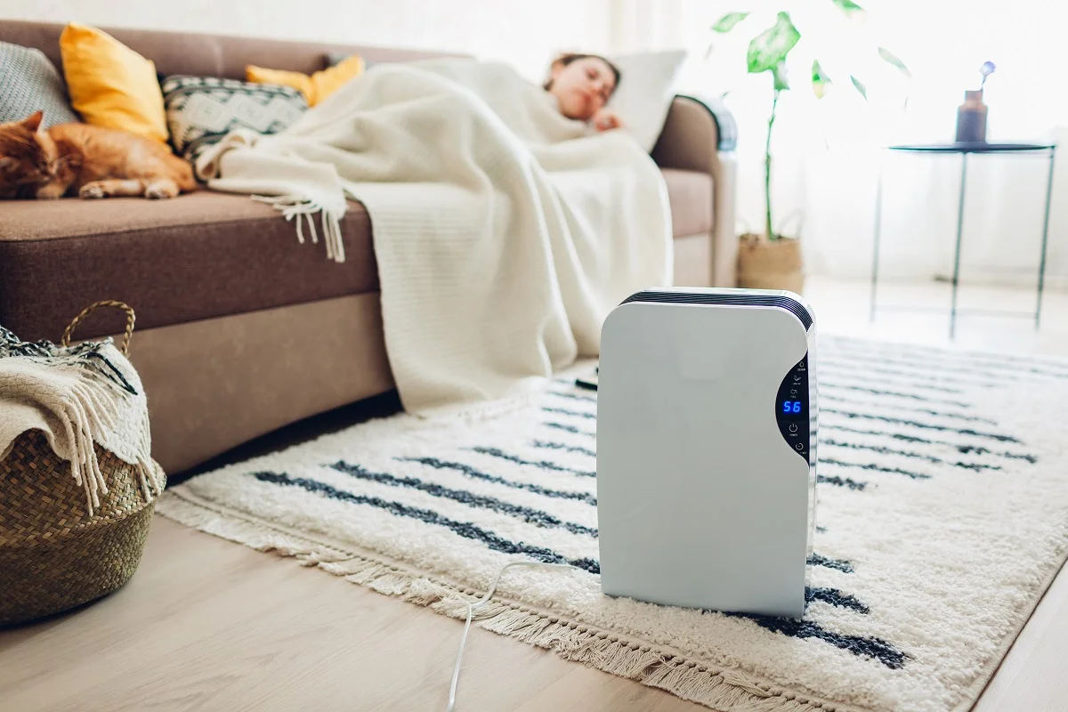 9 Best Dehumidifier For Bedroom | Reviews + Guide