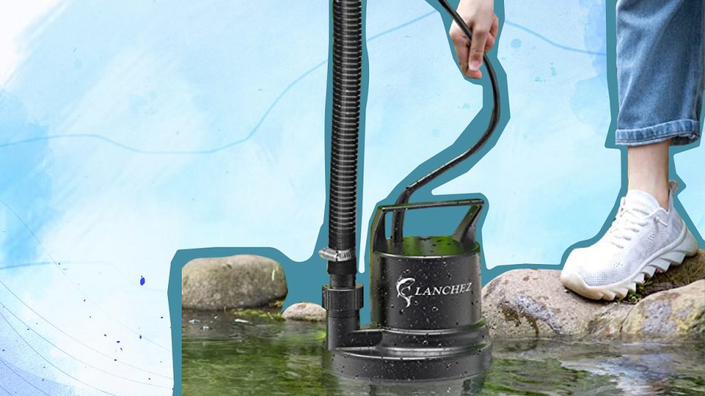 Are Utility Pumps Fish Safe | All You Need To Know