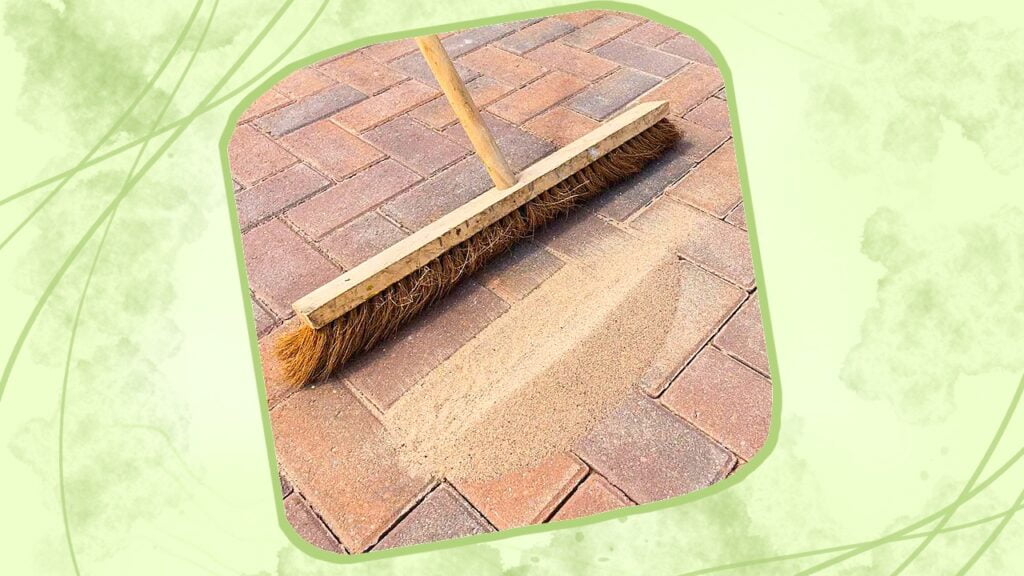 Why Is My Polymeric Sand Not Hardening? | 9 Simple Solutions