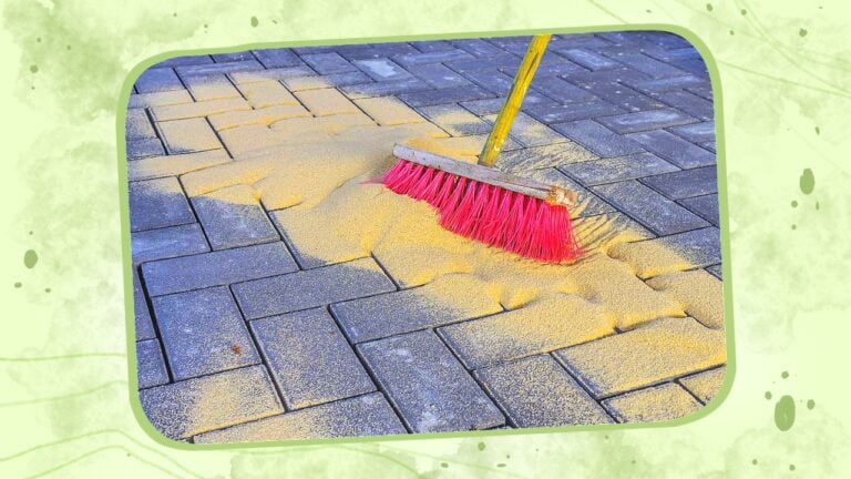 Why Is My Polymeric Sand Not Hardening? | 9 Simple Solutions