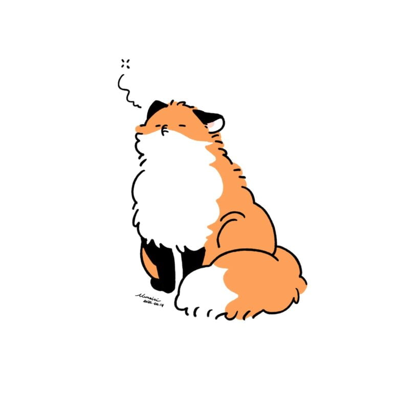 50 Animal Drawing Ideas To Use For Your Sketchbook
