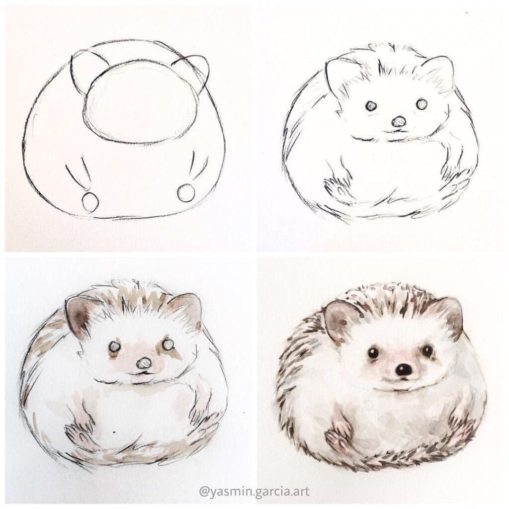50 Animal Drawing Ideas To Use For Your Sketchbook