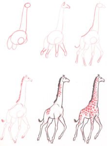 50 Animal Drawing Ideas To Use For Your Sketchbook