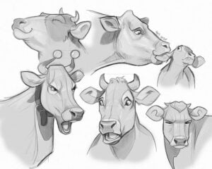 50 Animal Drawing Ideas To Use For Your Sketchbook