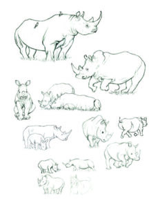 50 Animal Drawing Ideas To Use For Your Sketchbook