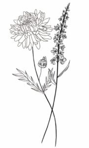 Flower Drawing Ideas: 45 Cool Designs You Should Try Out