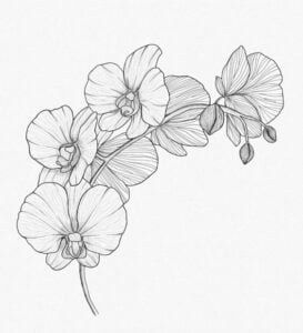 Flower Drawing Ideas: 45 Cool Designs You Should Try Out