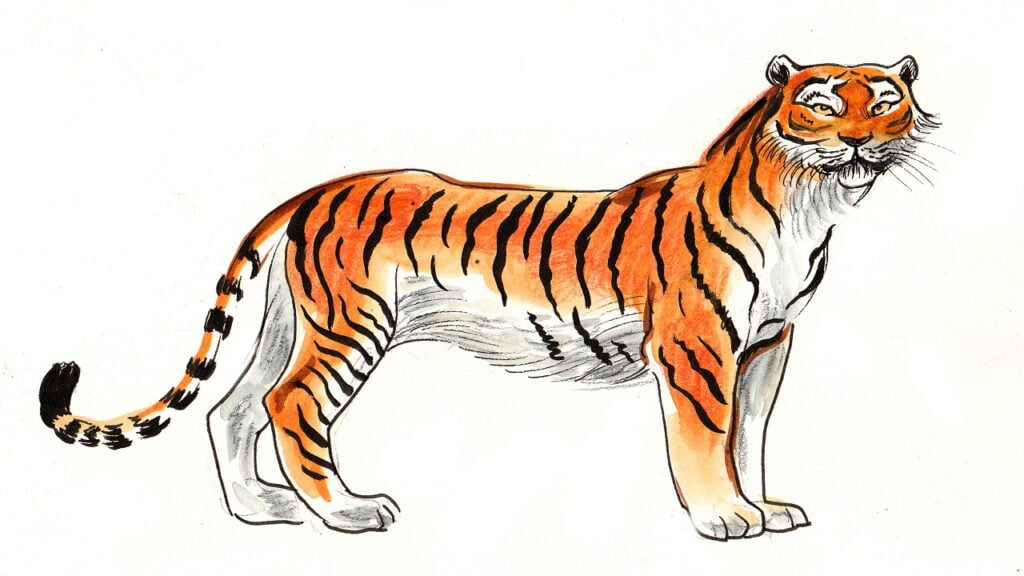 50 Animal Drawing Ideas To Use For Your Sketchbook 50-animal-drawing-ideas-to-use-for-your-sketchbook