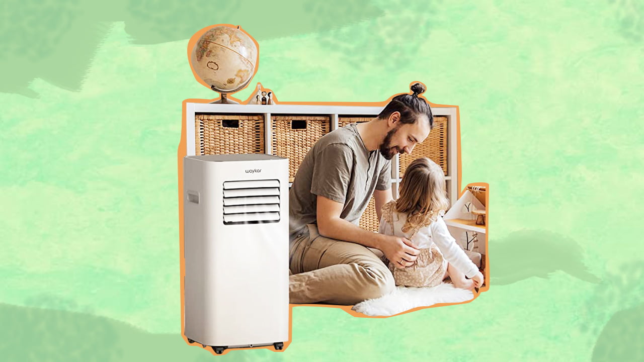 Mini Split Vs Portable AC: Which One To Buy?