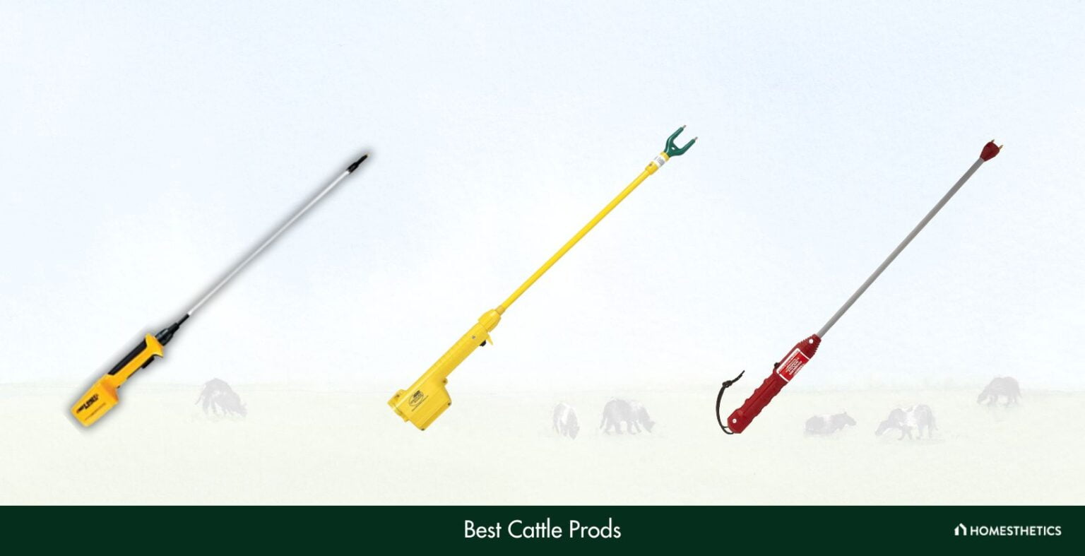 5 Best Cattle Prods Today To Consider | Reviews + Guide