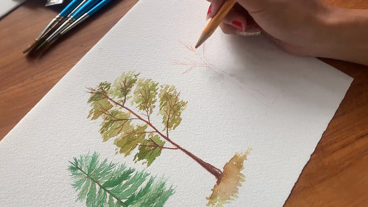 How To Use Watercolor Pencils? | A Complete Guide