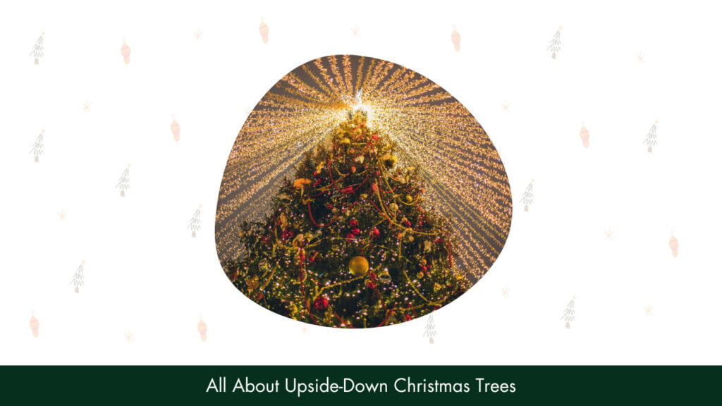 Learn All About Upside-Down Christmas Trees
